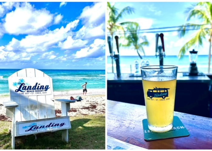 Business Spotlight: The Landing Beach Bar: An Unforgettable Dining ...