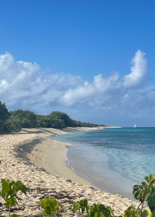 Sandy Point - News of St. Croix