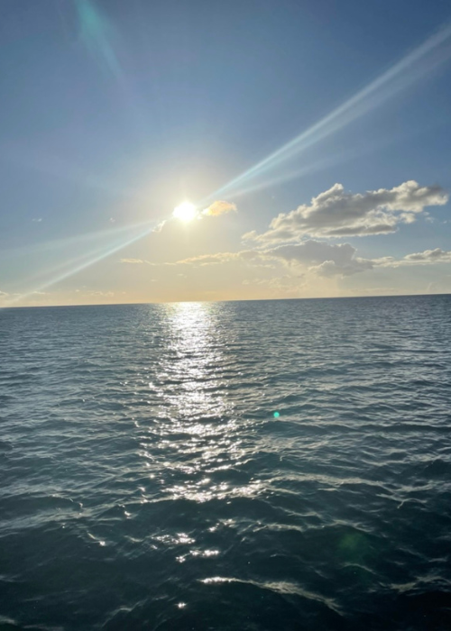 Sunset Sail in St. Croix - News of St. Croix