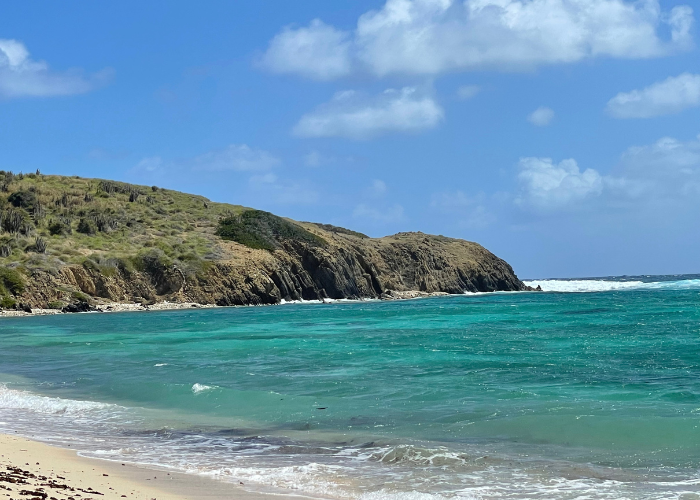 Hike to Jack and Isaac’s Bay - News of St. Croix