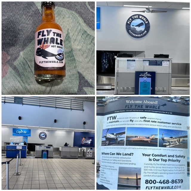 Discover the Virgin Islands in a New Way with Fly the Whale Airlines ...