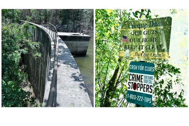 Discover the Natural Beauty of the St. Croix Rainforest by Hiking to ...